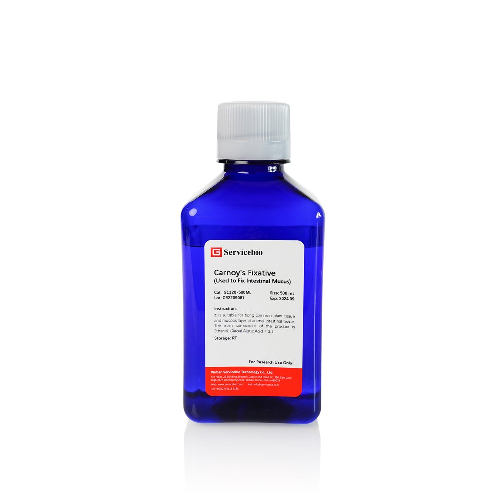 Carnoys Fixative Solution(Used to Fix Intestinal Mucus), 500 mL