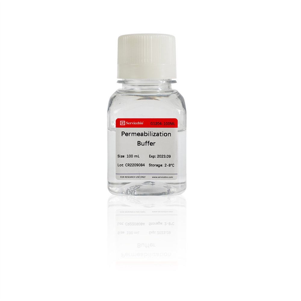 Permeabilization Solution, 100 mL - smartscience