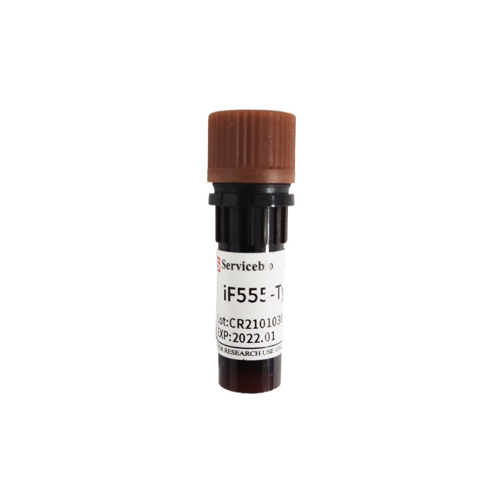 iF555-Tyramide, 50 μL (for Fluorescent TSA) - smartscience