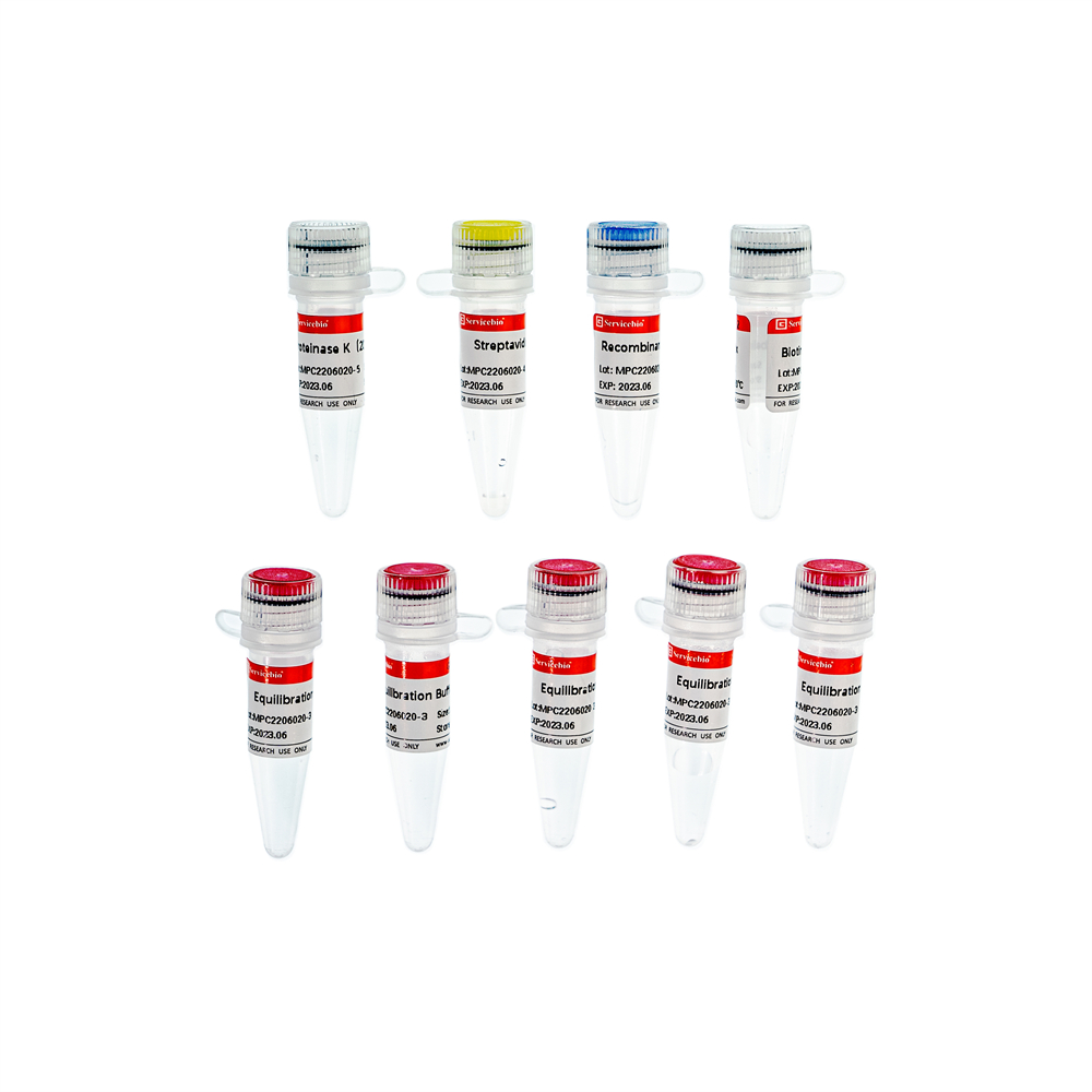 DAB (SA-HRP) Tunel Cell Apoptosis Detection Kit - smartscience
