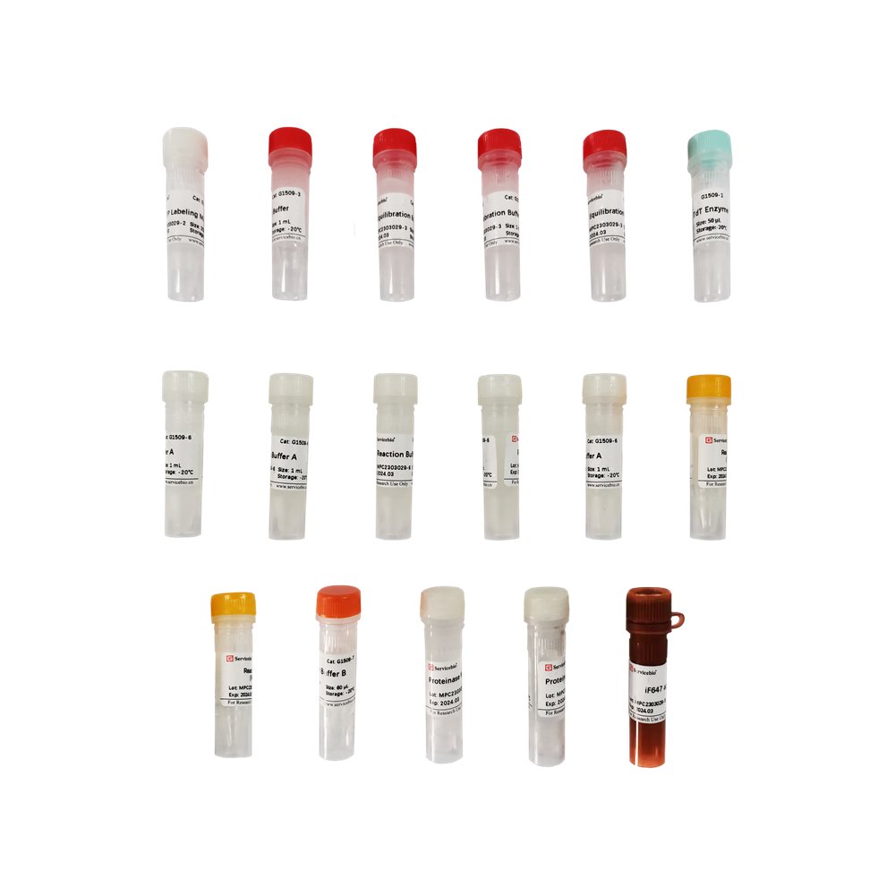 Click-iT 647 Tunel Cell Apoptosis Detection Kit, 50 T