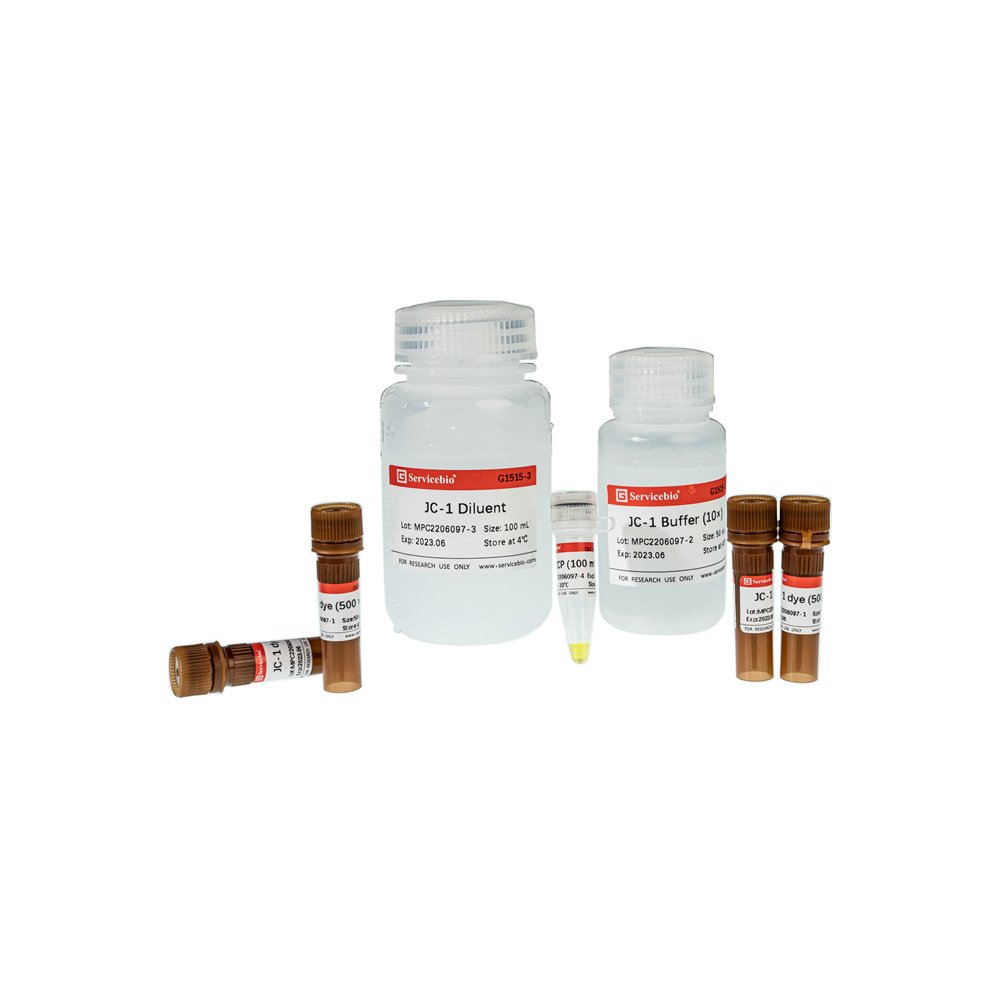 JC-1 Mitochondrial Membrane Potential Detection Kit, 100 T