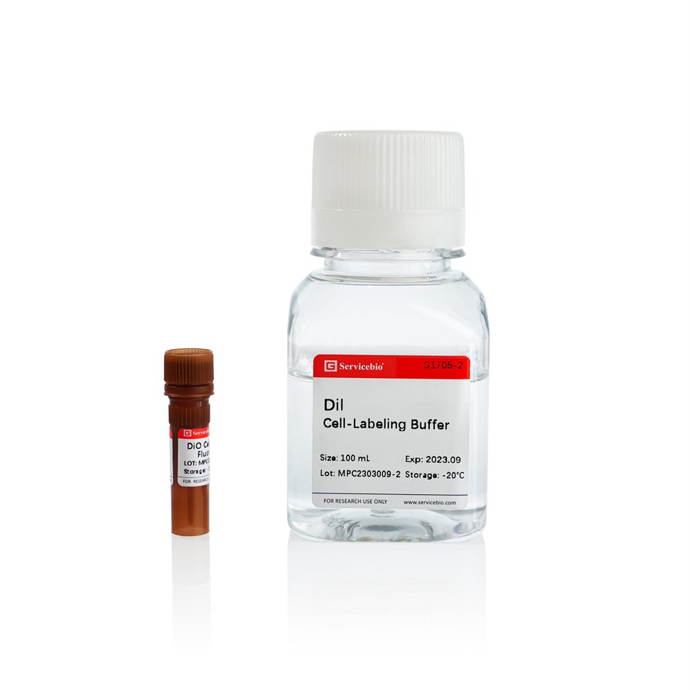 DiI Cell Membrane Red Fluorescent Staining Kit, 100-1000 T - smartscience