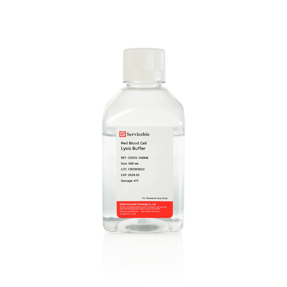 Red Blood Cell Lysis Buffer, 500 mL