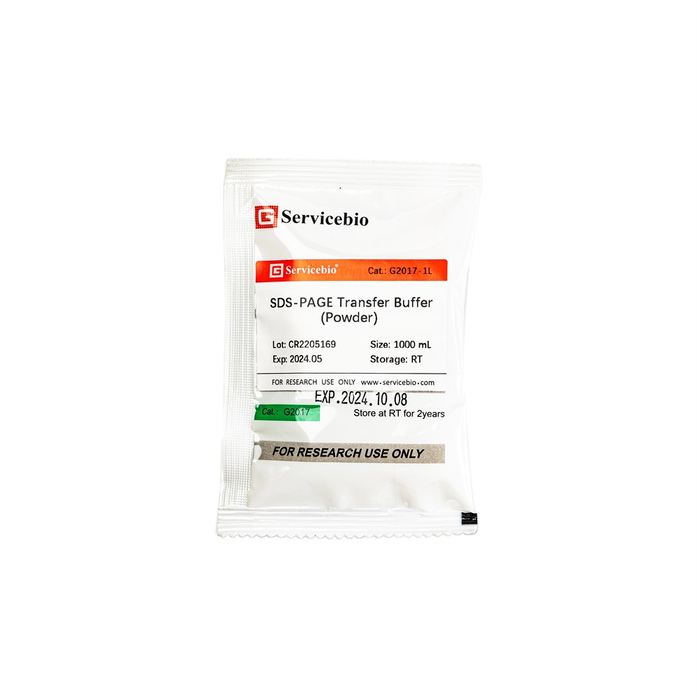 Tris-Glycine Transfer Buffer (Powder) - smartscience
