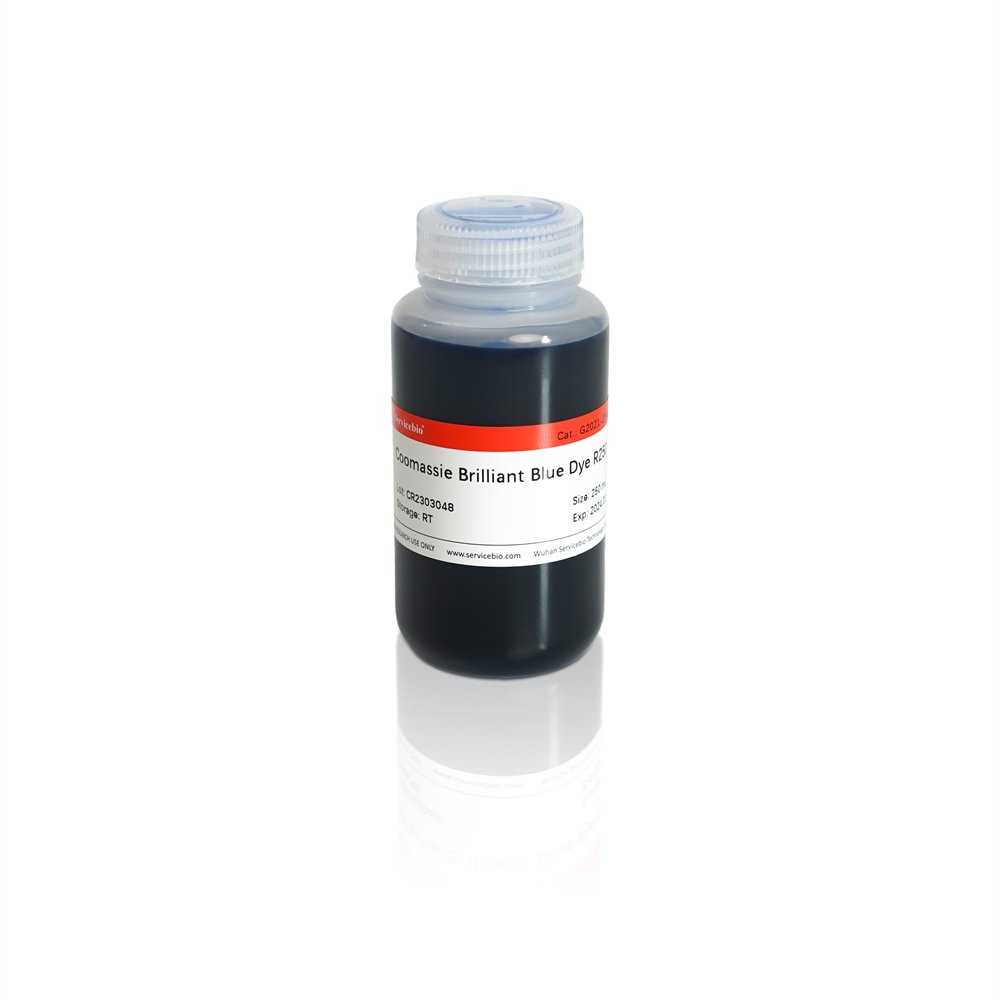 Coomassie Bright Blue Dye R250 , 250 ml - smartscience