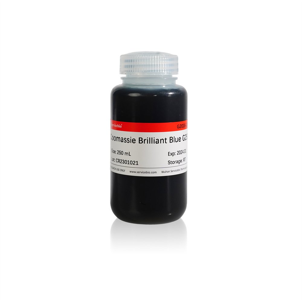 Coomassie Brilliant Blue G250, 250 mL (for Protein Quantification)