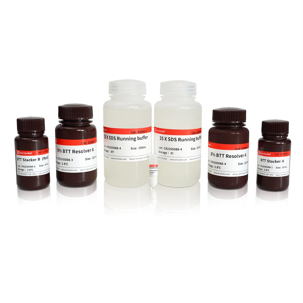 8% SDS-PAGE high-resolution color (red) gel ultra-fast preparation kit ...