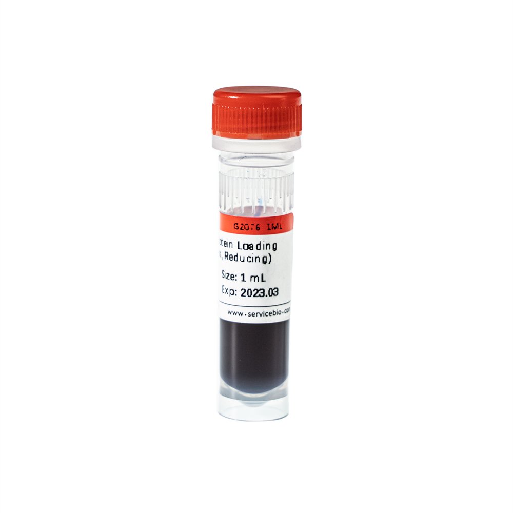 2x SDS-PAGE protein loading buffer (odorless, reduced type), 1 ml ...