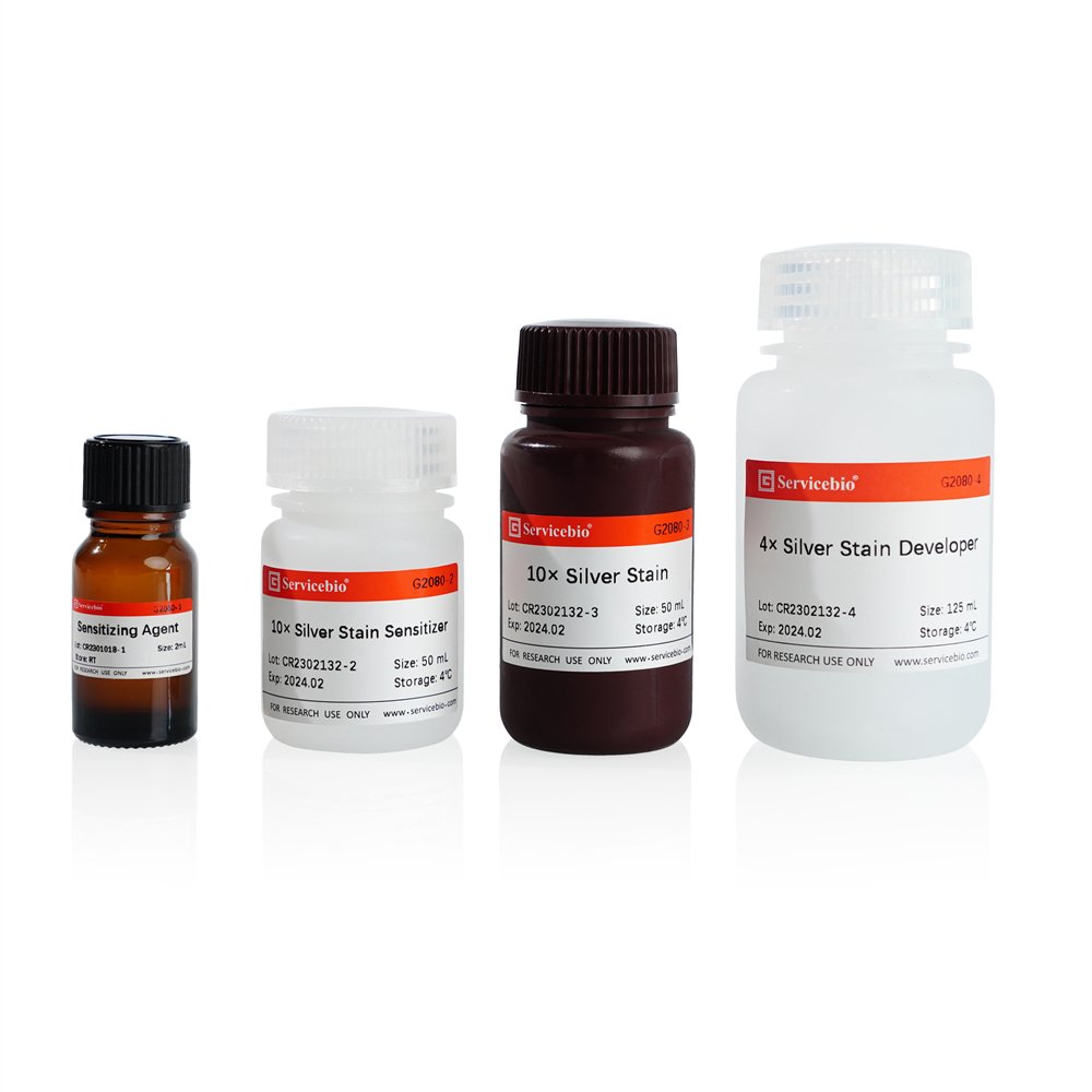 Silver Stain kit for Protein, , 25T - smartscience