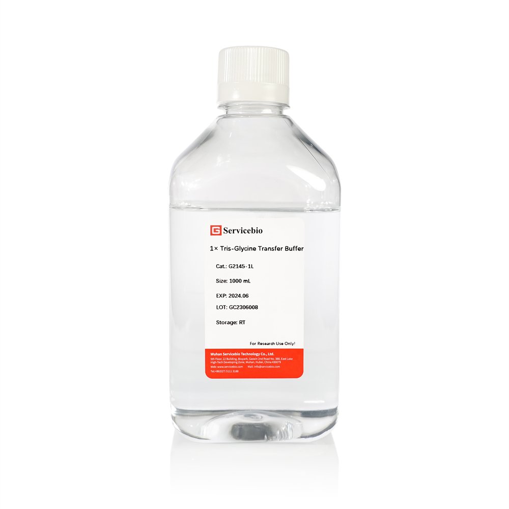 PAGE Transfer Buffer , 1 L - smartscience