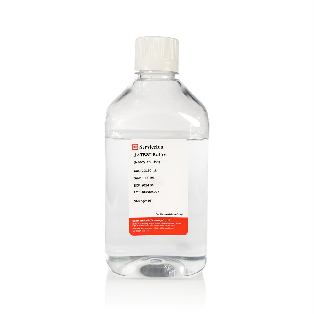 TBST Buffer , 1 L - smartscience