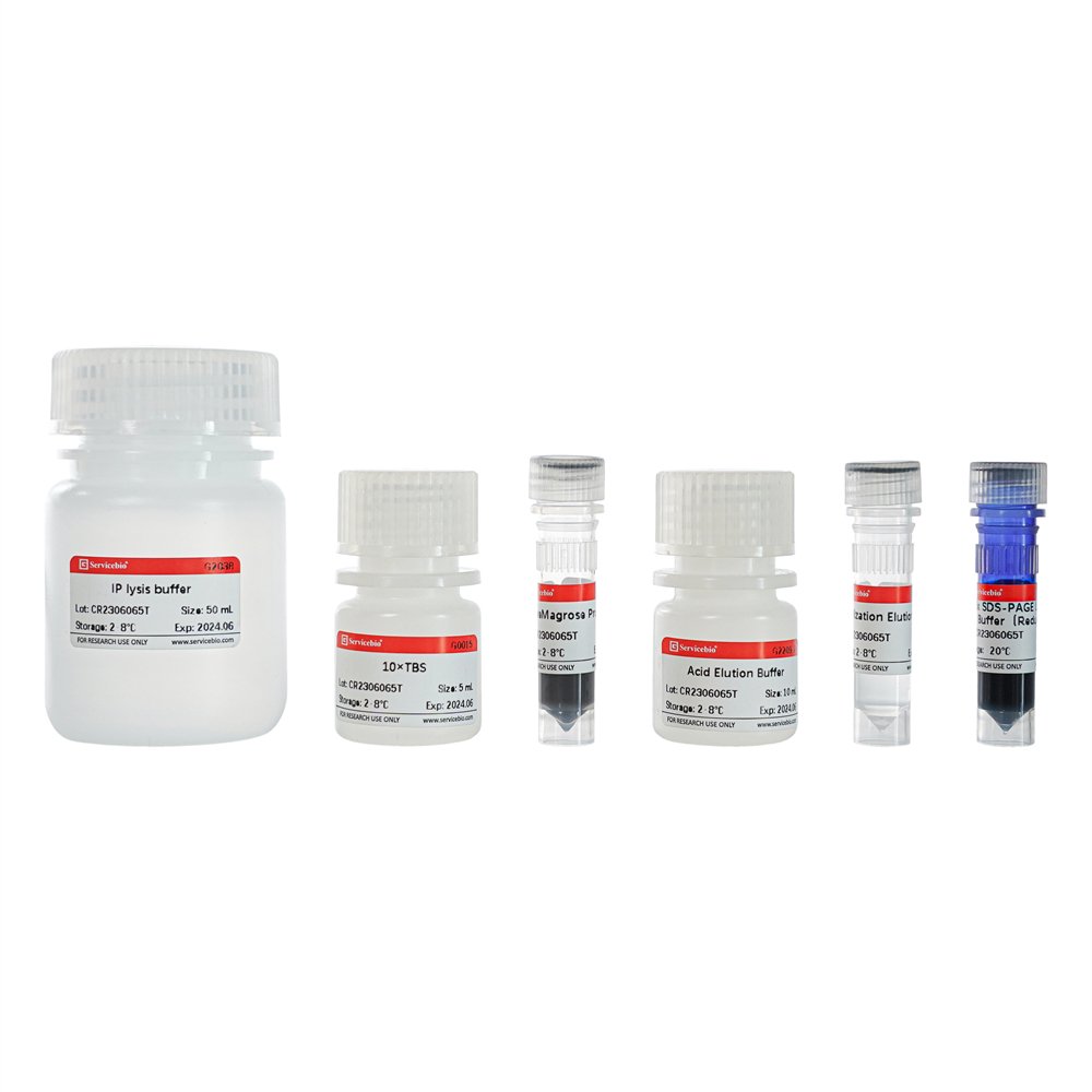 Protein Immunoprecipitation Kits (Protein A, Magnetic Bead Based), 50T ...
