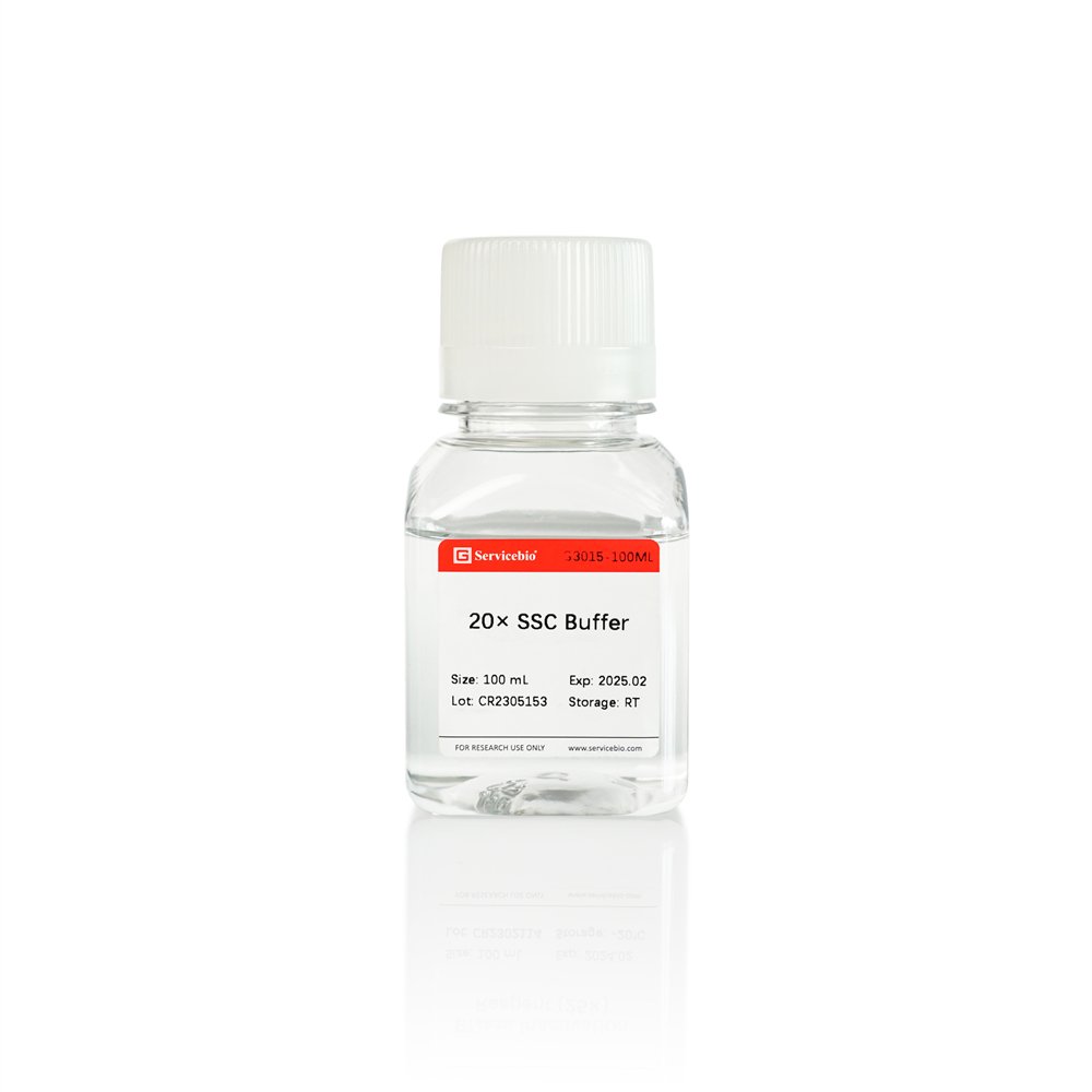 20×SSC buffer solution, 100 mL (for Nucleic Acid Electrophoresis) - smartscience