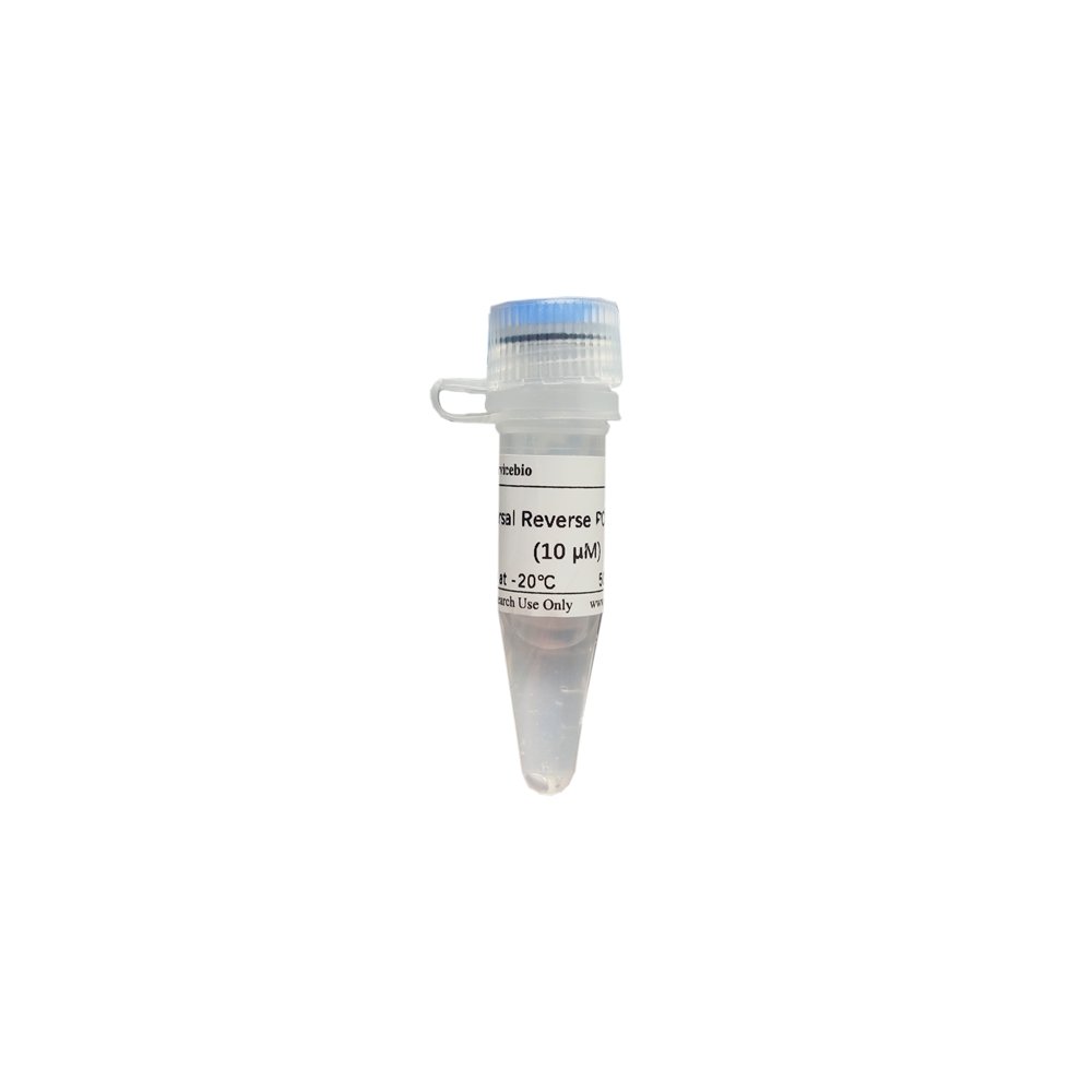 Universal Reverse PCR Primer (for miRNA qRT-PCR), 500 µL (for Reverse ...