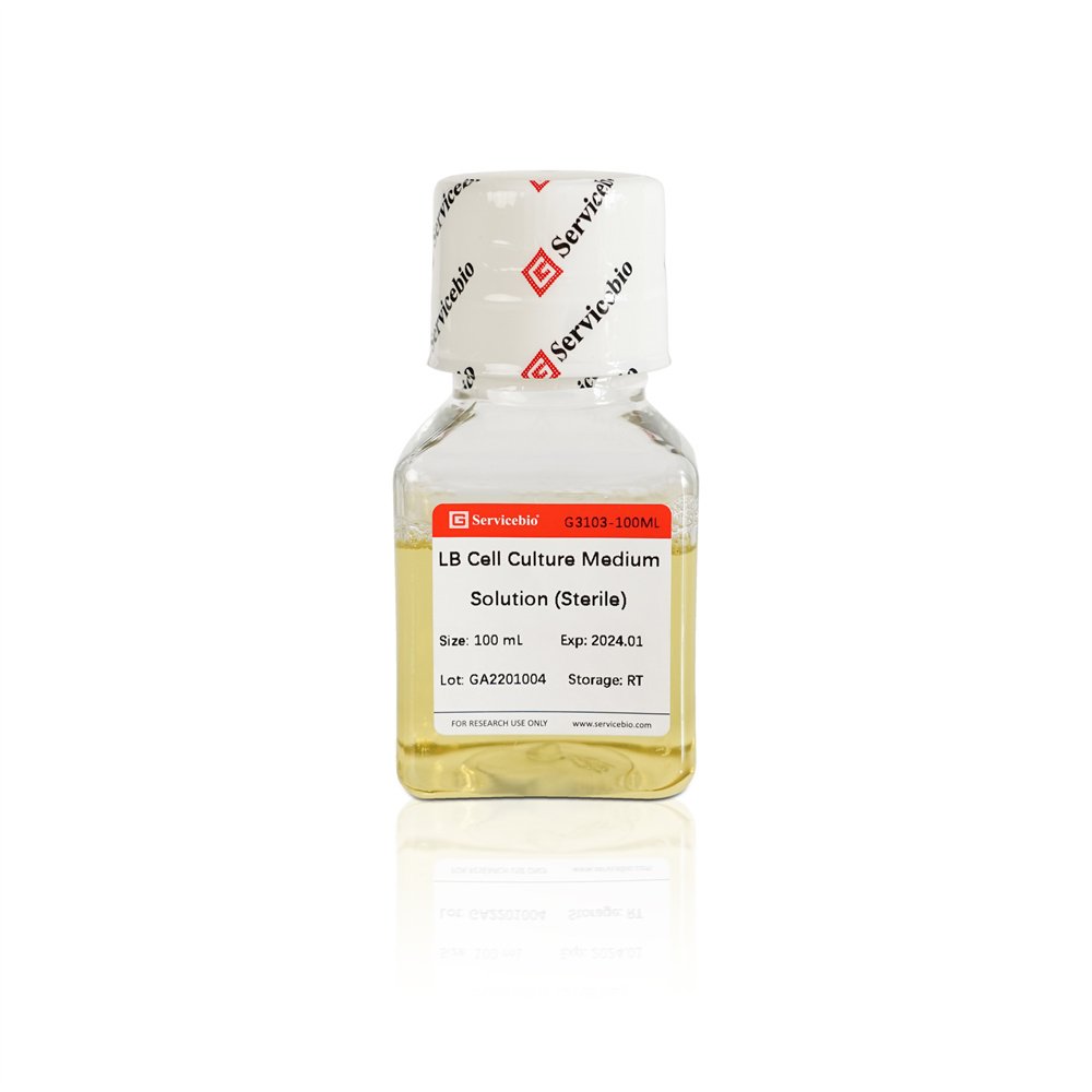 LB cell culture medium solution（sterilized）, 100 mL (for Molecular ...