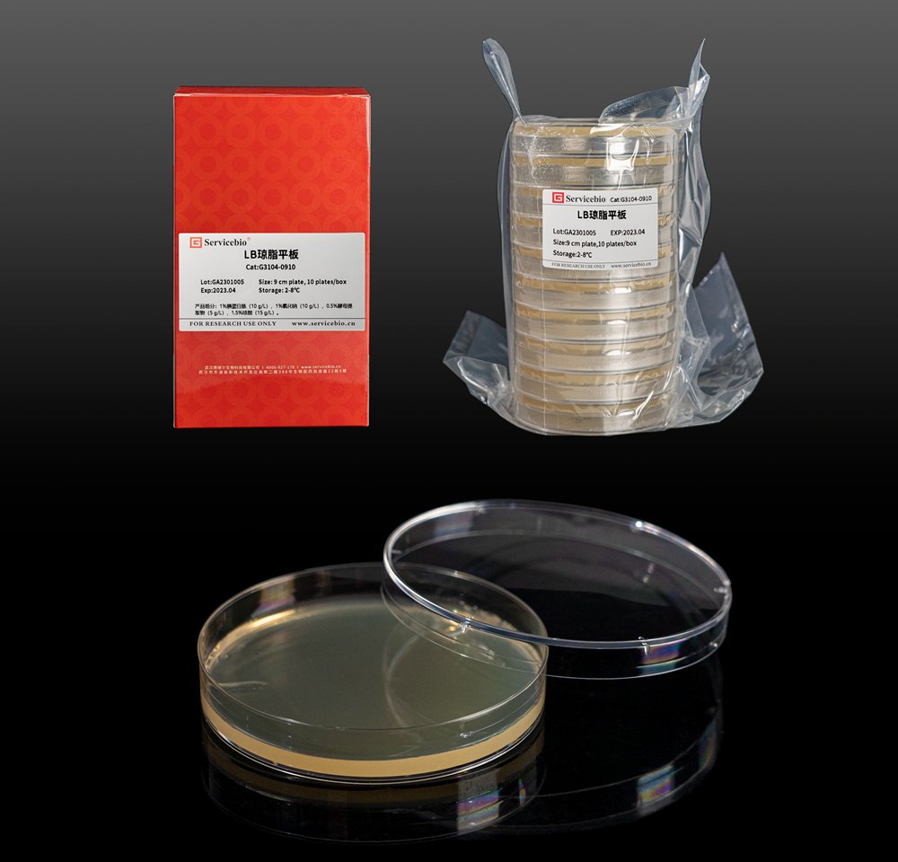 LB Agar Plate, 10 plates (for Molecular cloning medium) - smartscience