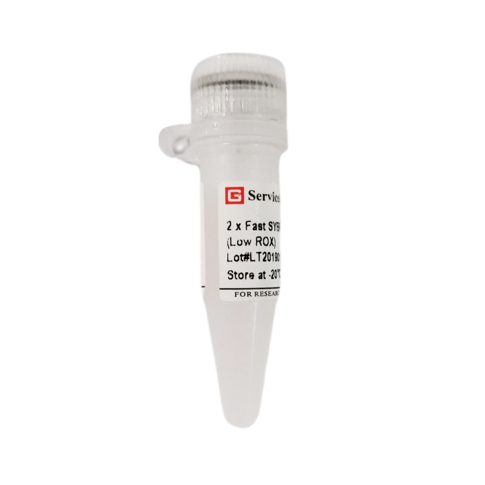 2 × Fast SYBR Green qPCR Master Mix (Low ROX) - smartscience