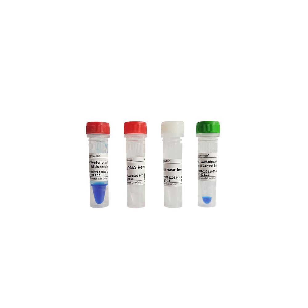 SweScript All-in-One Blue RT SuperMix for qPCR (One-Step gDNA Remover ...