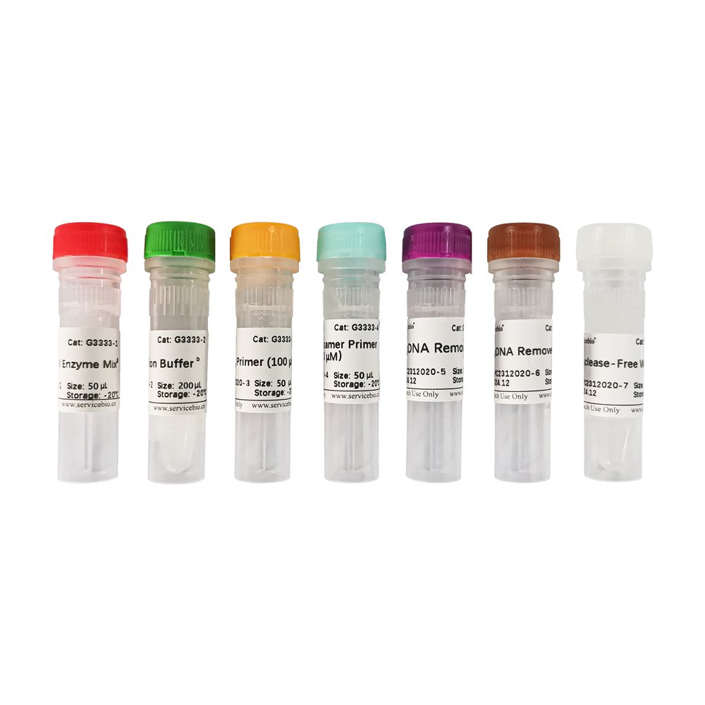 SweScript RT II First Strand cDNA Synthesis Kit (With gDNA Remover ...