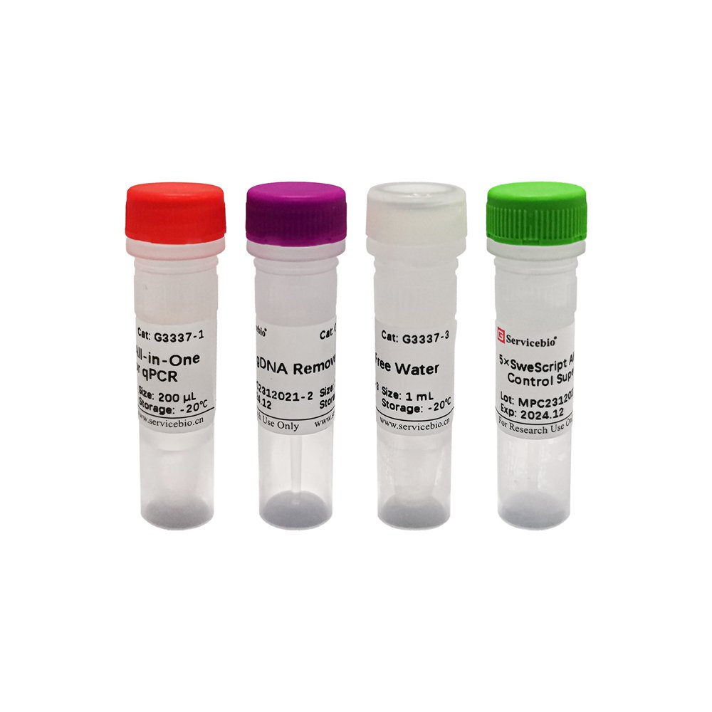 SweScript All-in-One RT SuperMix for qPCR (One-Step gDNA Remover), (for ...