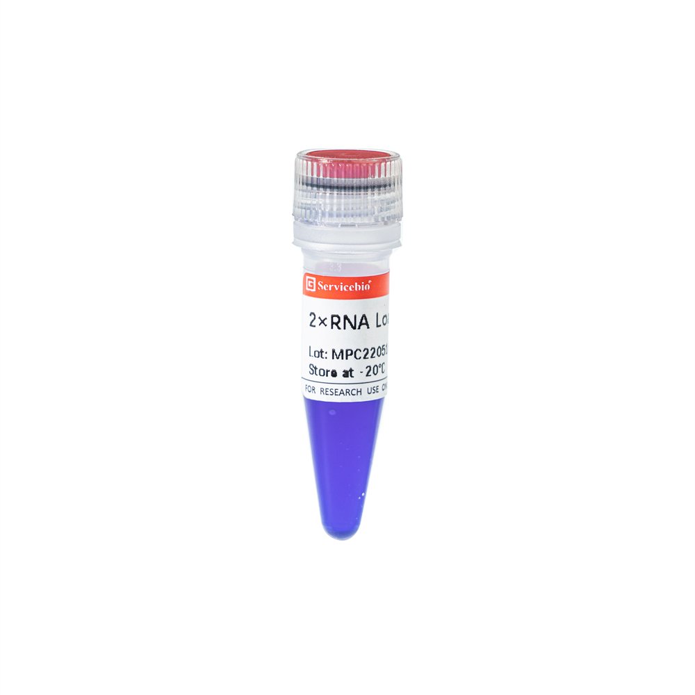 2×RNA Loading Buffer, 500 μL (for Nucleic Acid Electrophoresis ...