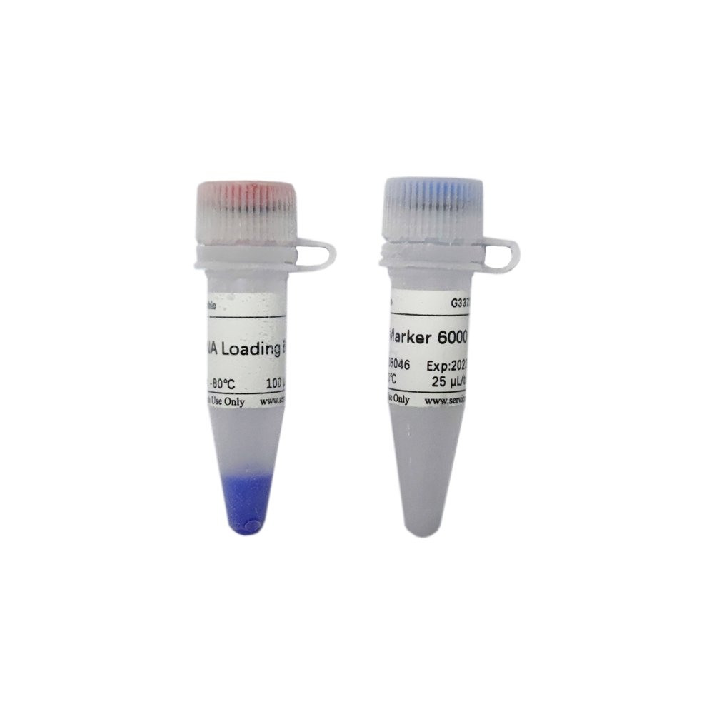 RNA Marker 6000, 25 μL - smartscience
