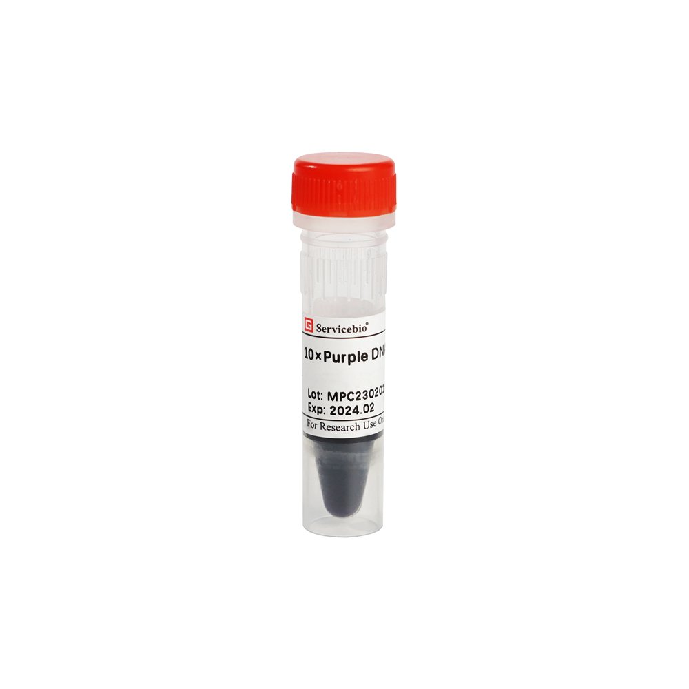 10×Purple DNA Loading Buffer, 1 mL (for Nucleic Acid Electrophoresis ...