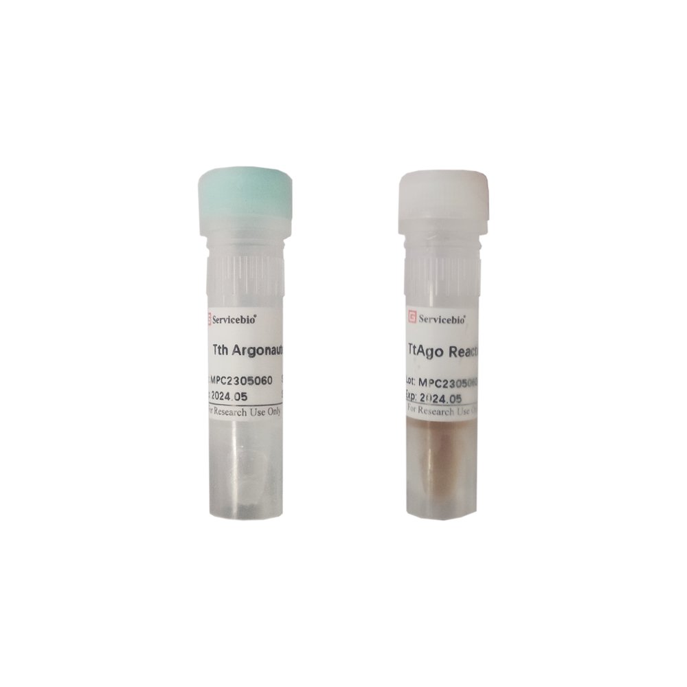 Tth Argonaute (TtAgo), 50 pmol (for Nuclease/Topoisomerase) - smartscience
