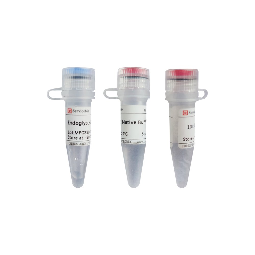 Endoglycosidase H (Endo H), 25000 U (for Sugar science related tools ...