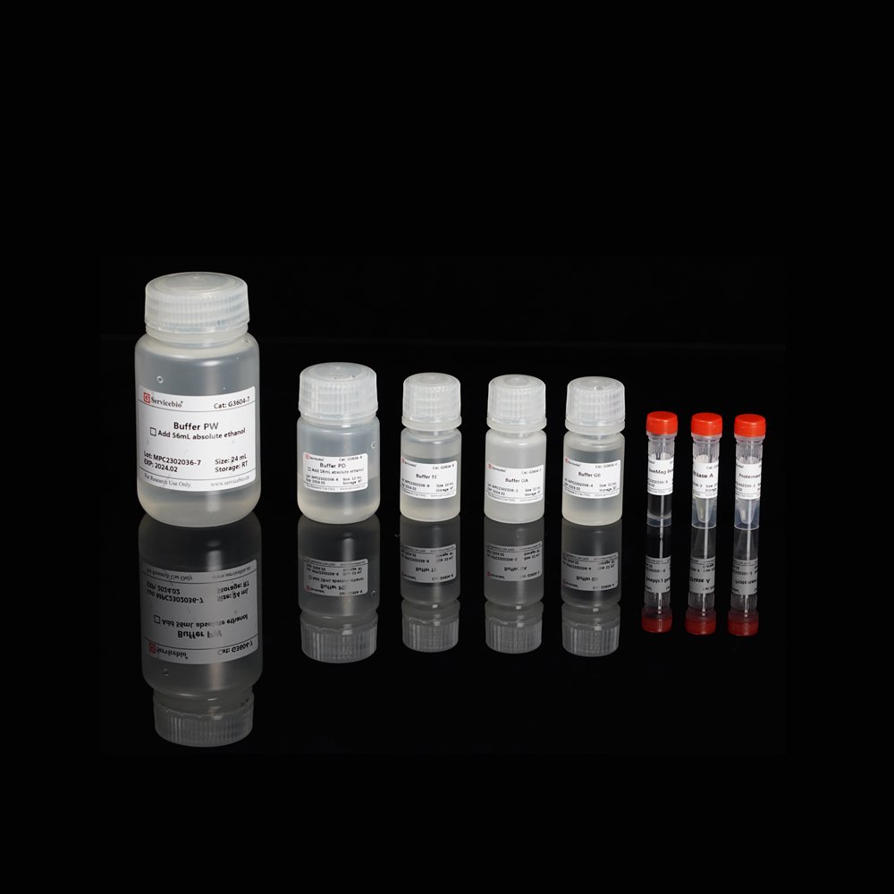 Magnetic Tissue / Cell/ Blood Total DNA Kit, 50 T (for Nucleic Acid ...