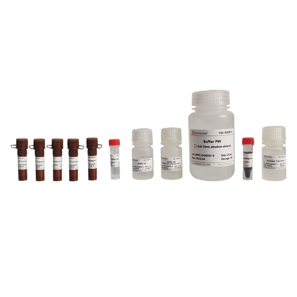 DNA Bisulfite Conversion Kit, 50 T (for Nucleic Acid Extraction ...