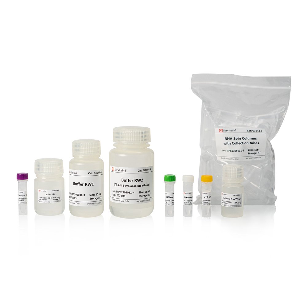Bacterial Total RNA Extraction Kit, 50 T (for Nucleic Acid Extraction ...