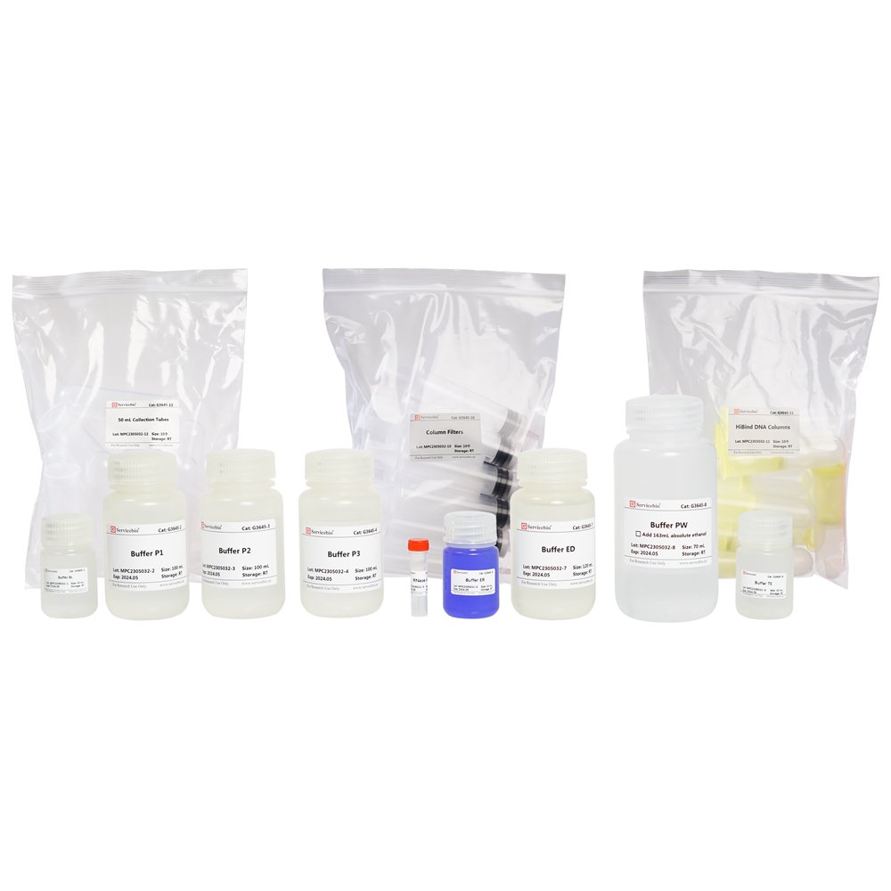 Endotoxin-free plasmid DNA maxi-preparation kit, 10 T (for Nucleic Acid ...