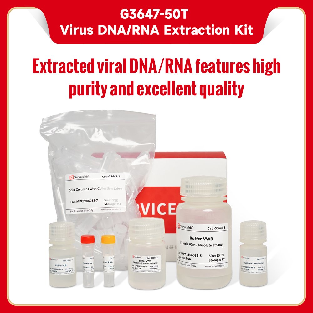 Bacterial DNA/RNA Extraction Kit, 50 T (for Nucleic Acid Extraction)