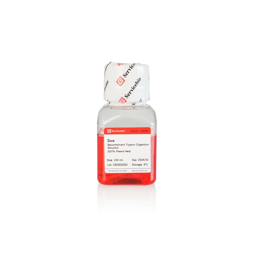 Recombinant trypsin digestion solution (containing EDTA, containing ...