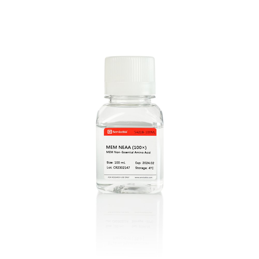 MEM NEAA(100×), 100 mL - smartscience