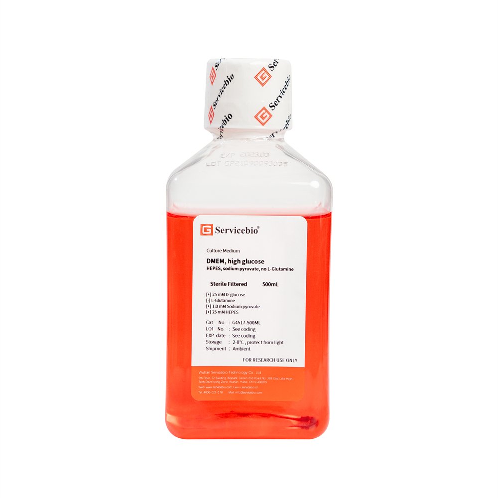 DMEM, high glucose, HEPES, sodium pyruvate, no L-Glutamine, 500 mL - smartscience