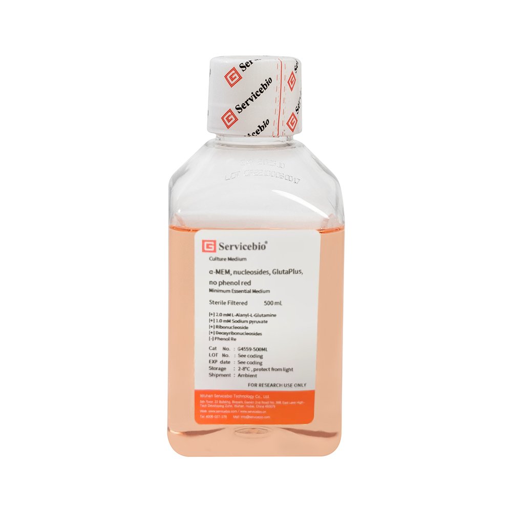 α-MEM, nucleosides, GlutaPlus, no phenol red, 500 mL - smartscience