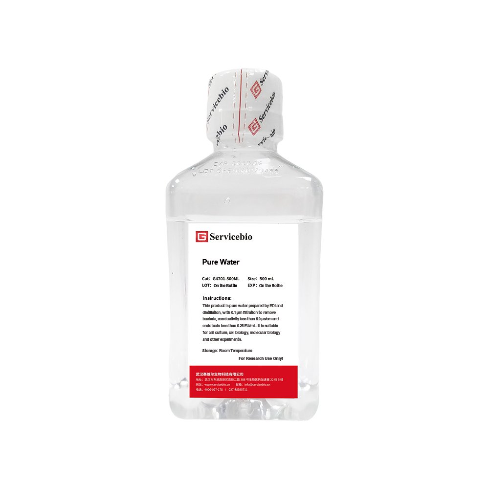 Special pure water for laboratroy, 500 mL (for Molecular experimental ...
