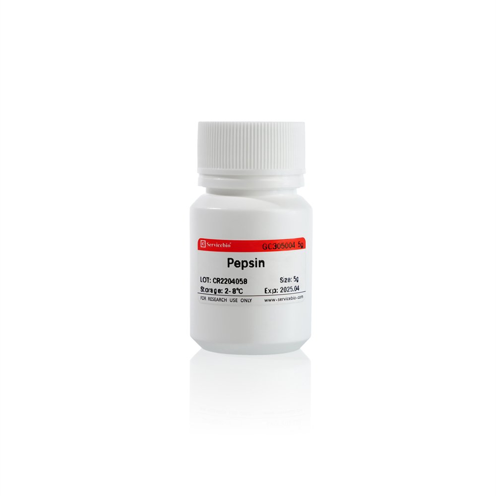 Pepsin 1:3000, 5 g (for Protein Derivatives)