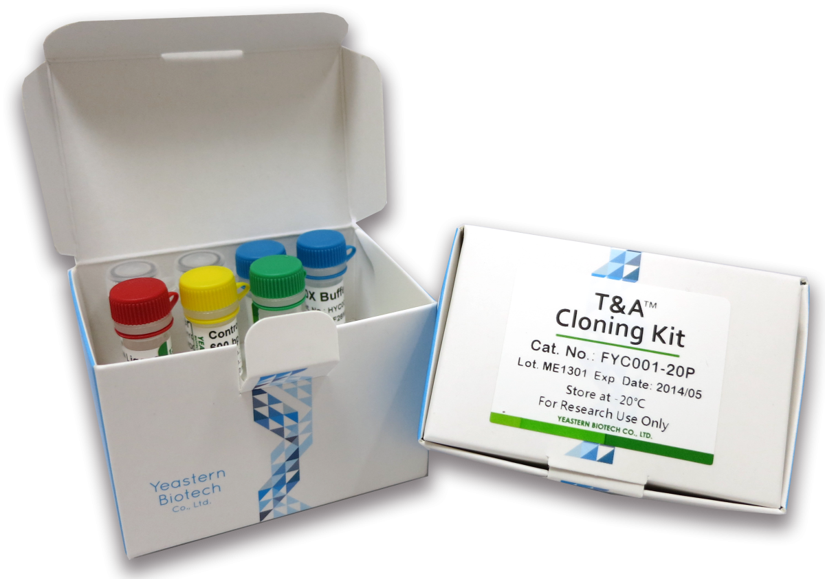 T&A Cloning Kit, 20 preps