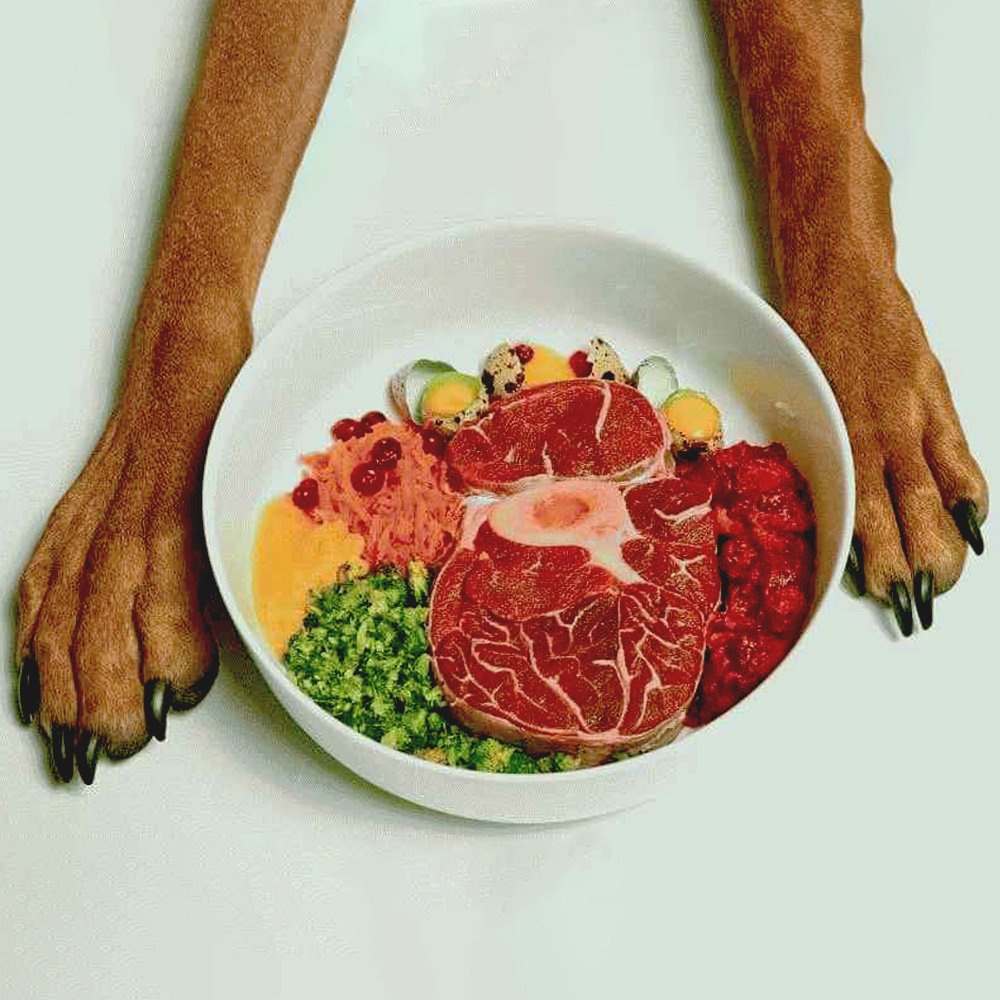 ‘บาร์ฟ’ อาหารที่สุนัขกินได้ ดีต่อสุขภาพดีและรสชาติอร่อย! - petclub