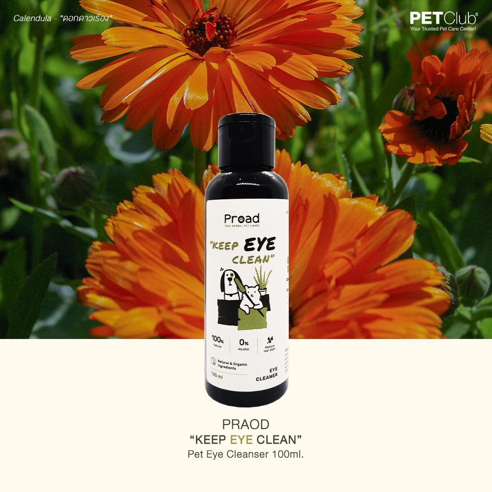 Keep "EYE" Clean - petclub