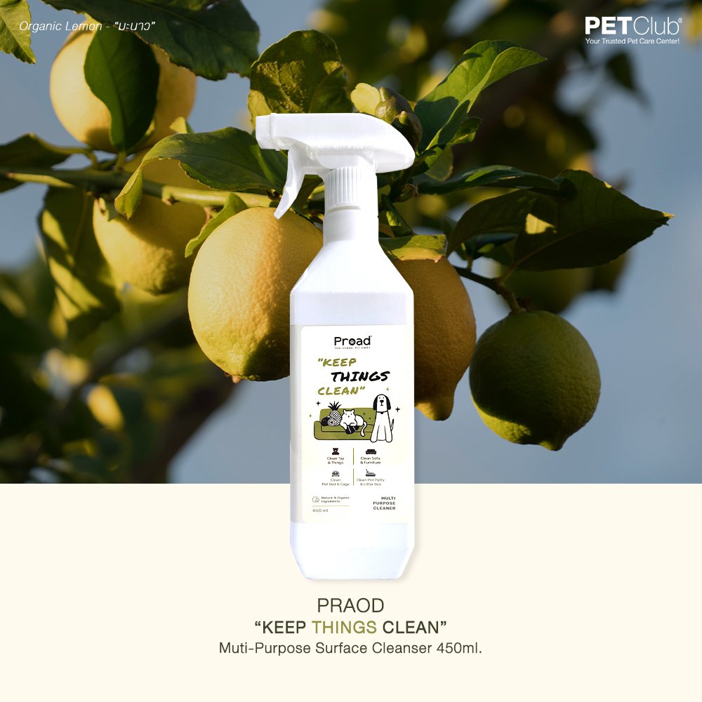 Keep "THINGS" Clean