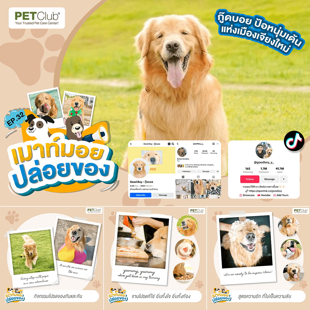 EP.32 กู๊ดบอย ป้อหนุ่มเด้นแห่งเมืองเจียงใหม่ - petclub