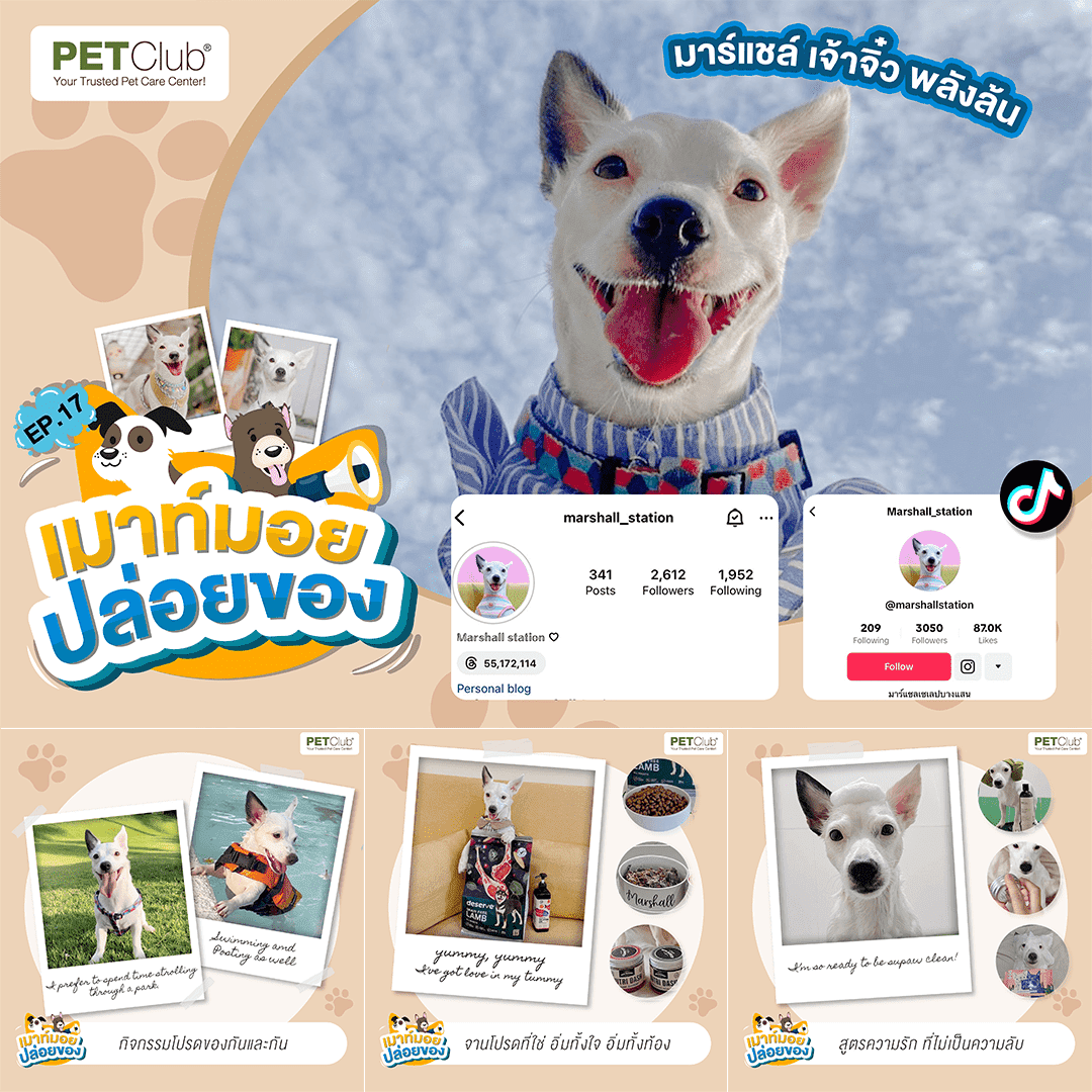 EP.17 มาร์แชล์ เจ้าจิ๋ว พลังล้น
