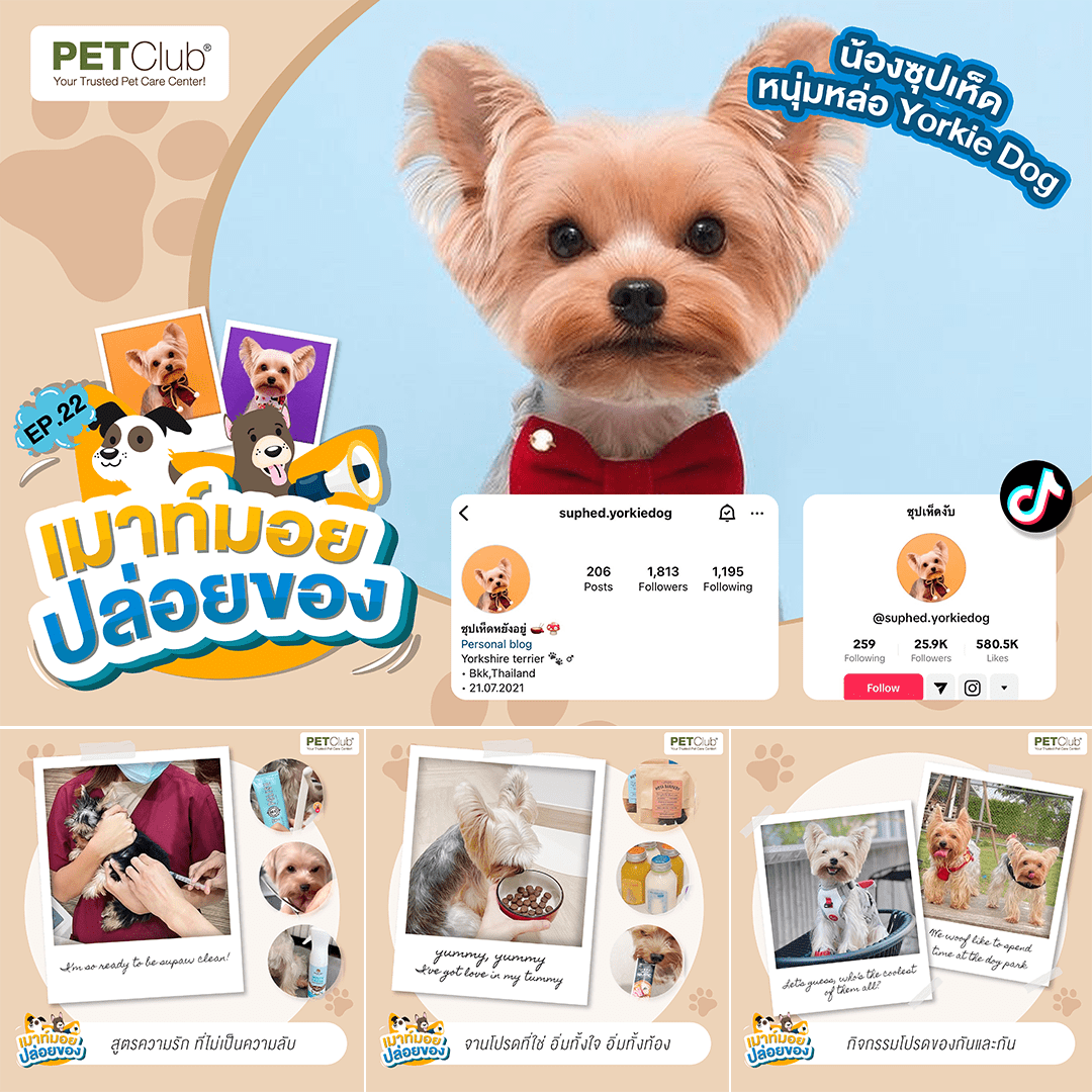 EP.22 น้องซุปเห็ด หนุ่มหล่อ Yorkie Dog