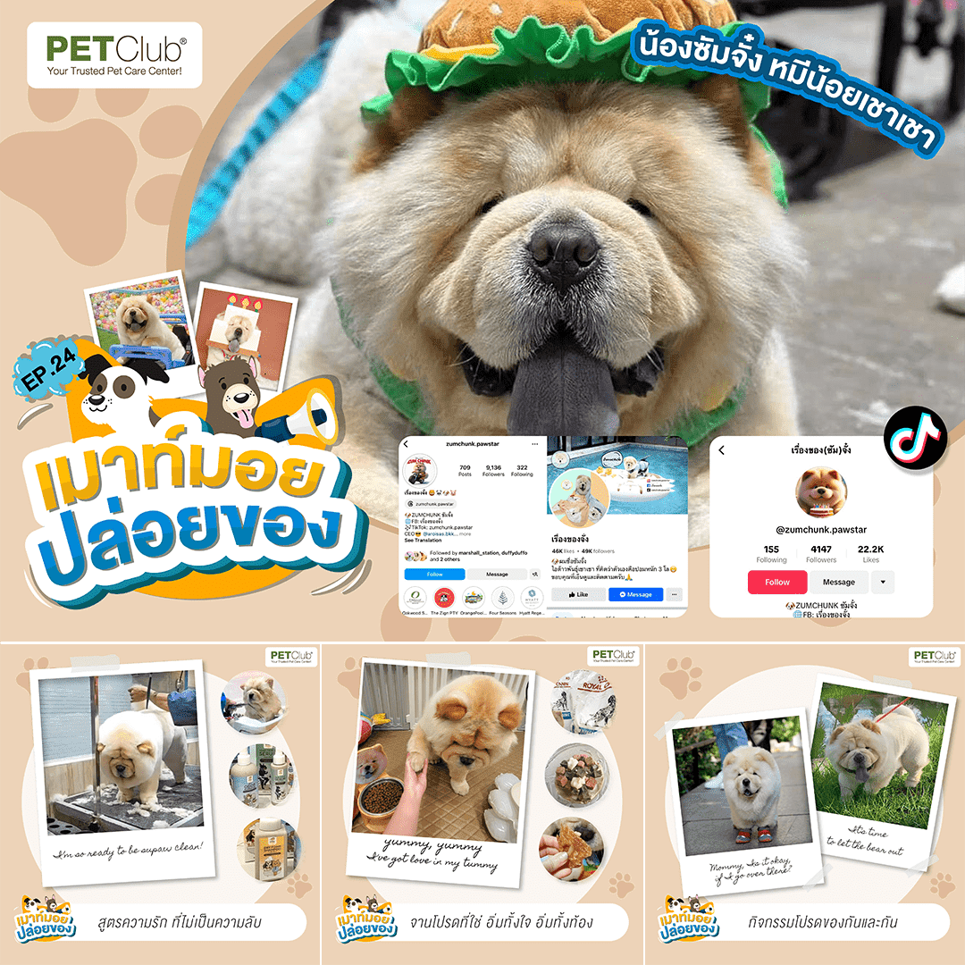 EP.24 น้องซัมจั๋ง หมีน้อยเชาเชา - petclub