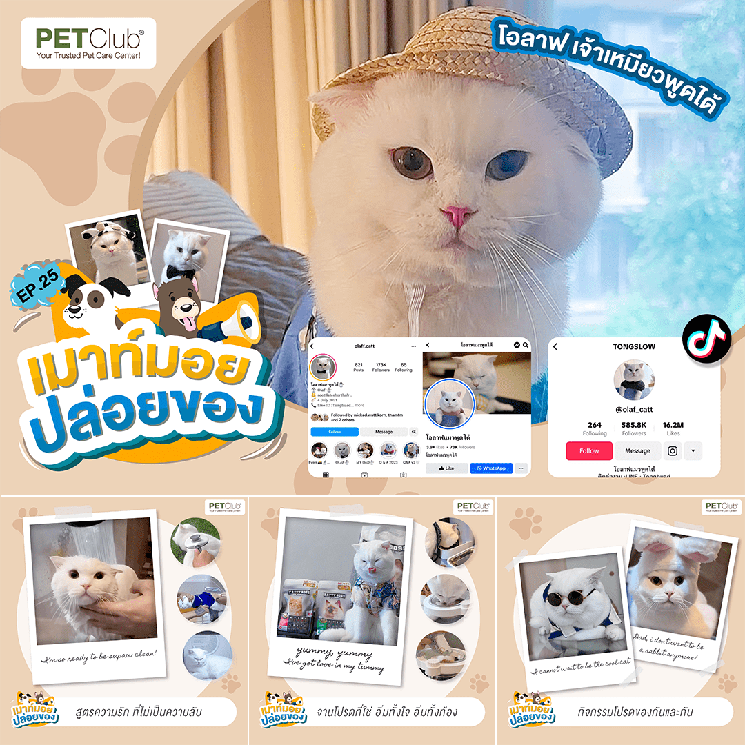 EP.25 โอลาฟ เจ้าเหมียวพูดได้